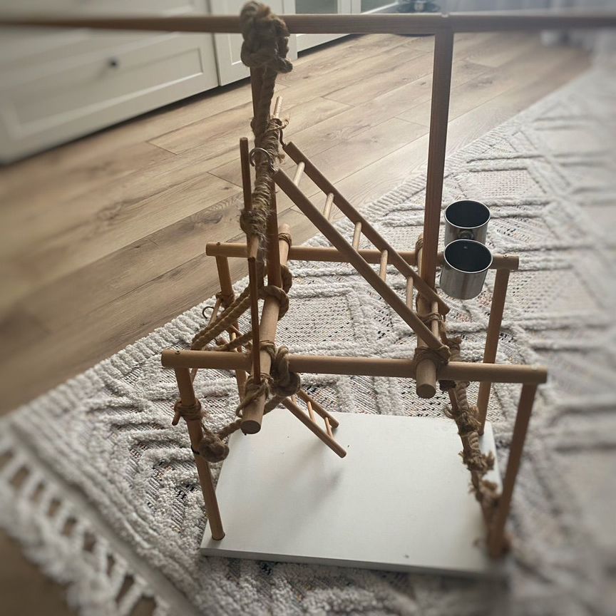 Стенд для попугая