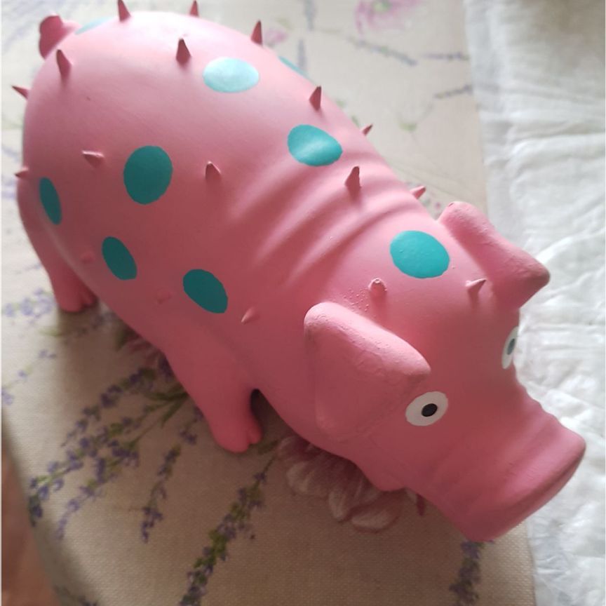 Игрушки для собак