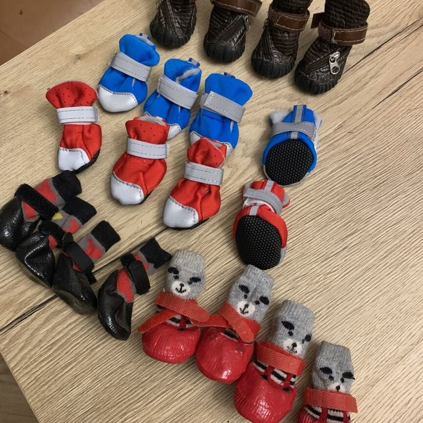 Обувь для маленьких собак