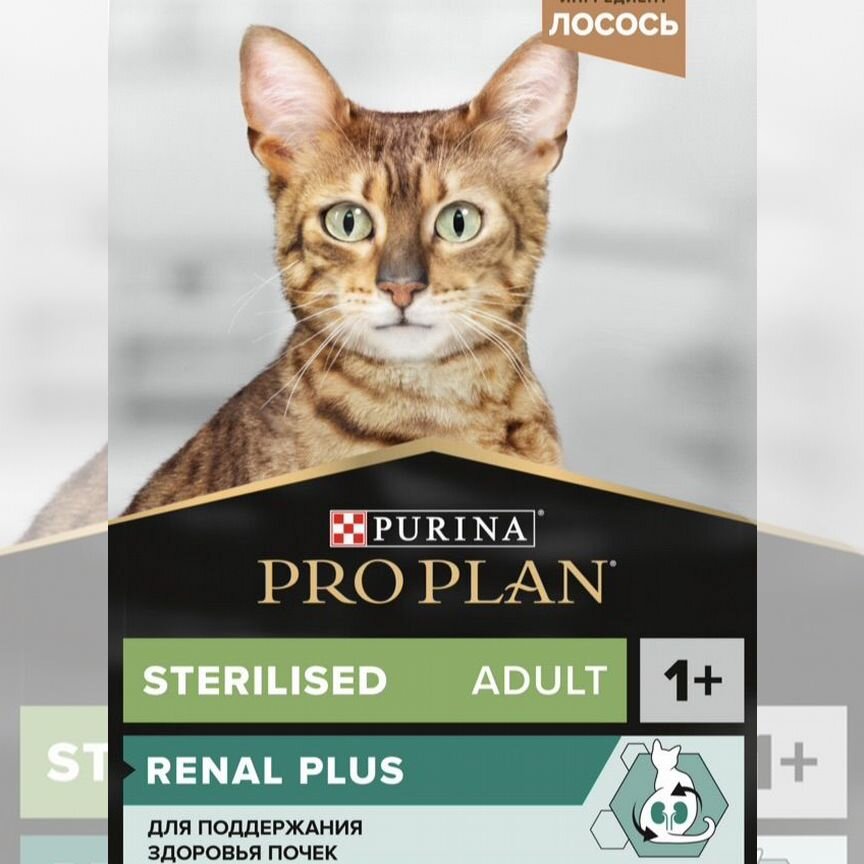 Сухой корм для кошек pro plan 10 кг