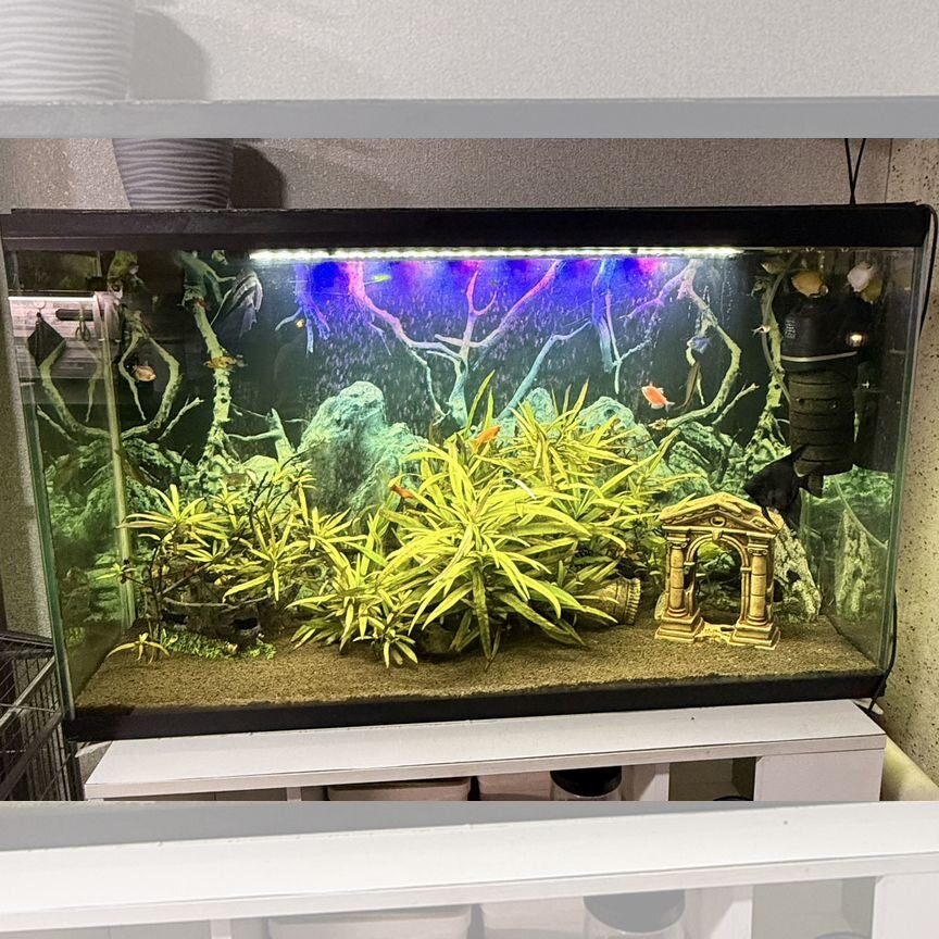 Аквариум с тумбой 200л