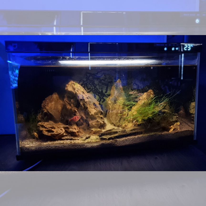 Аквариум Xiaomi Mijia MYG100 20 литров