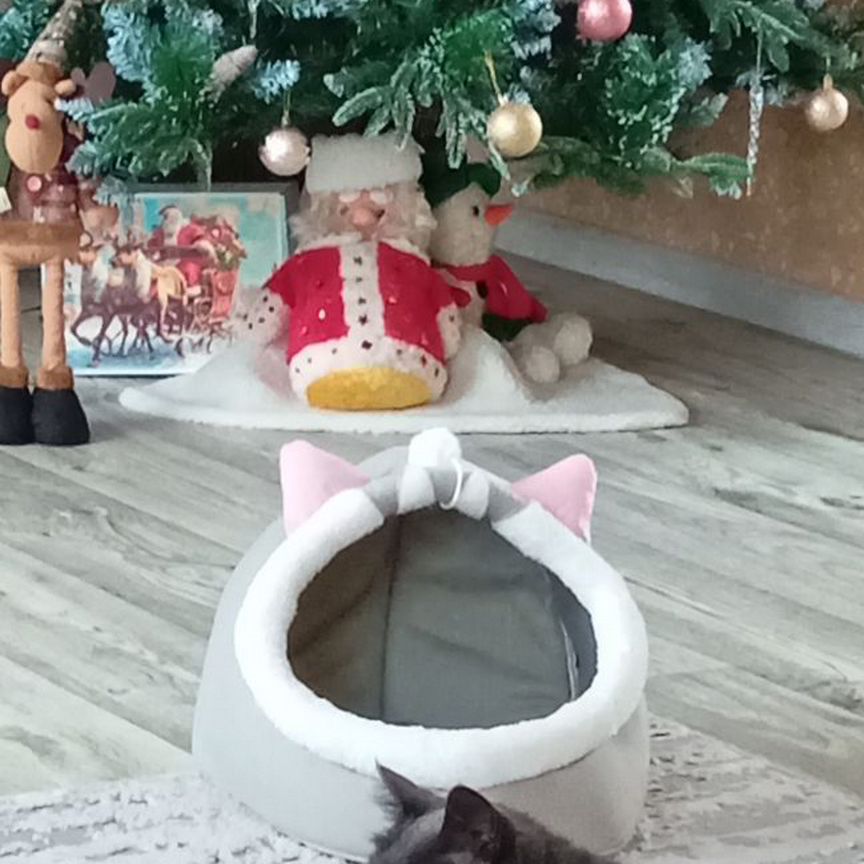 Домик для кота