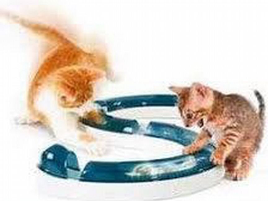 Игрушка для кошек catit Design,Игровой лабиринт"