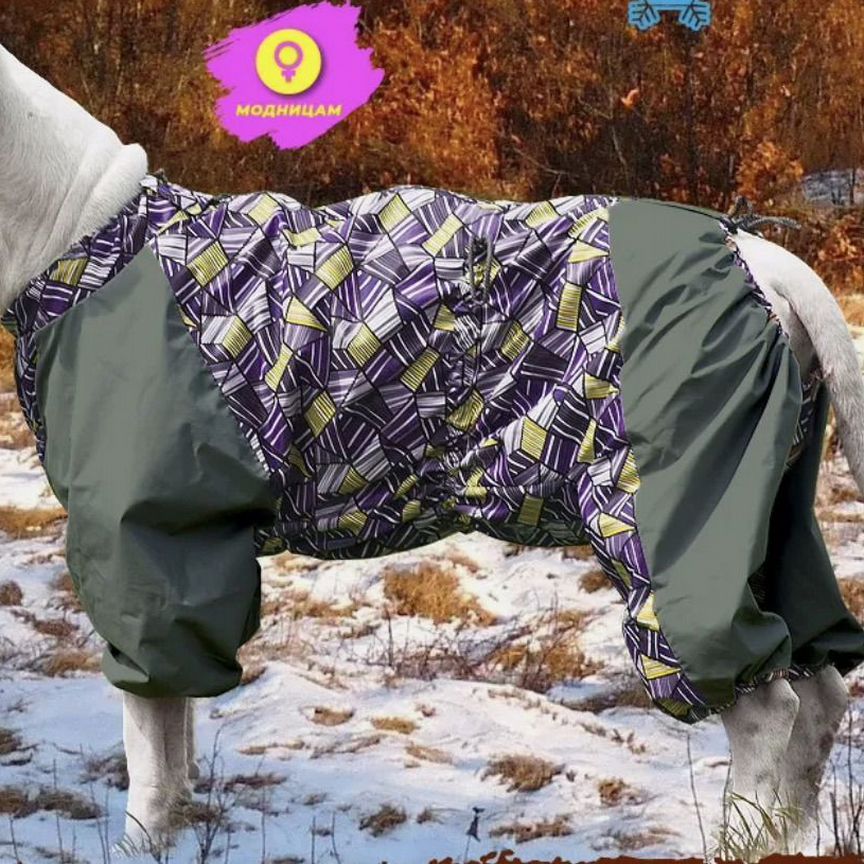 Комбинезон для собак средней породы