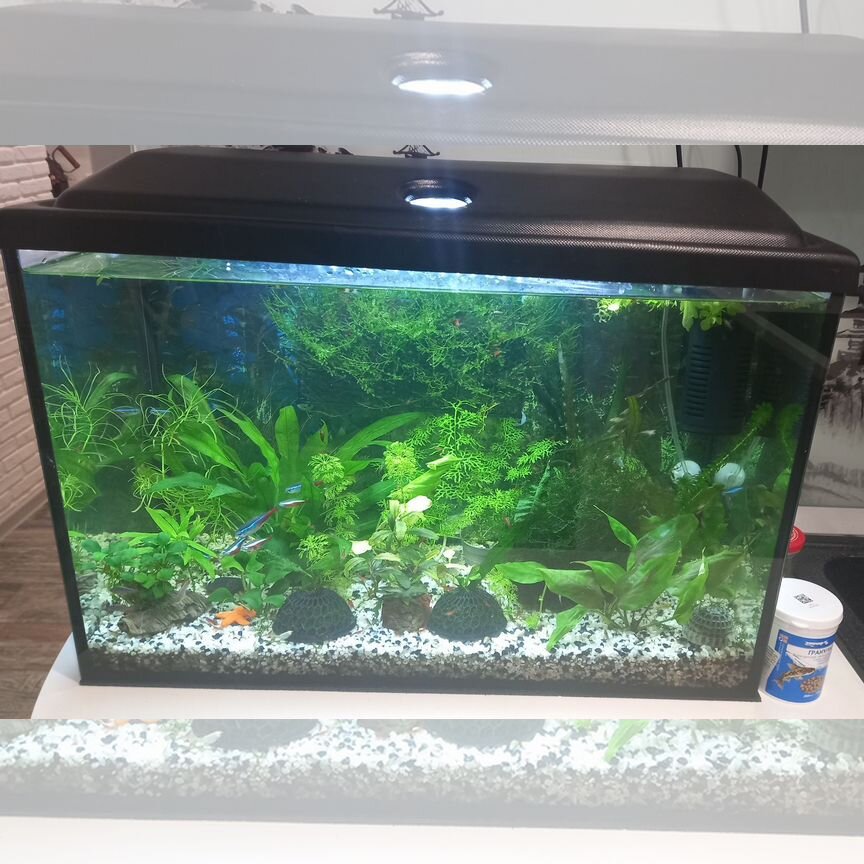 Аквариум