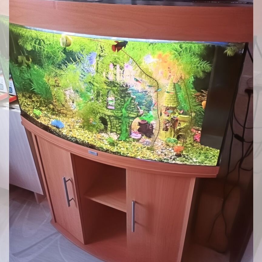Аквариум с тумбой 200л
