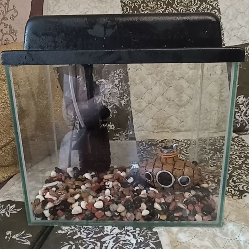 Аквариум 10 литров с крышкой и фильтром