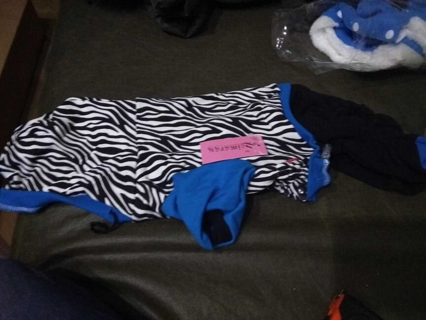 Одежда для собак