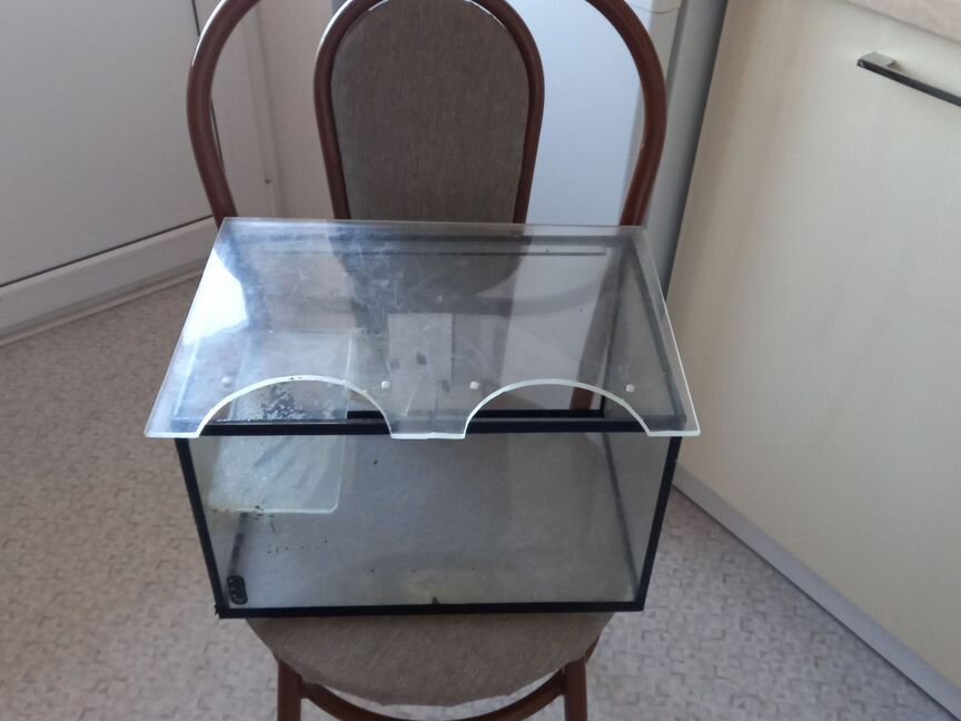 Террариум для улиток