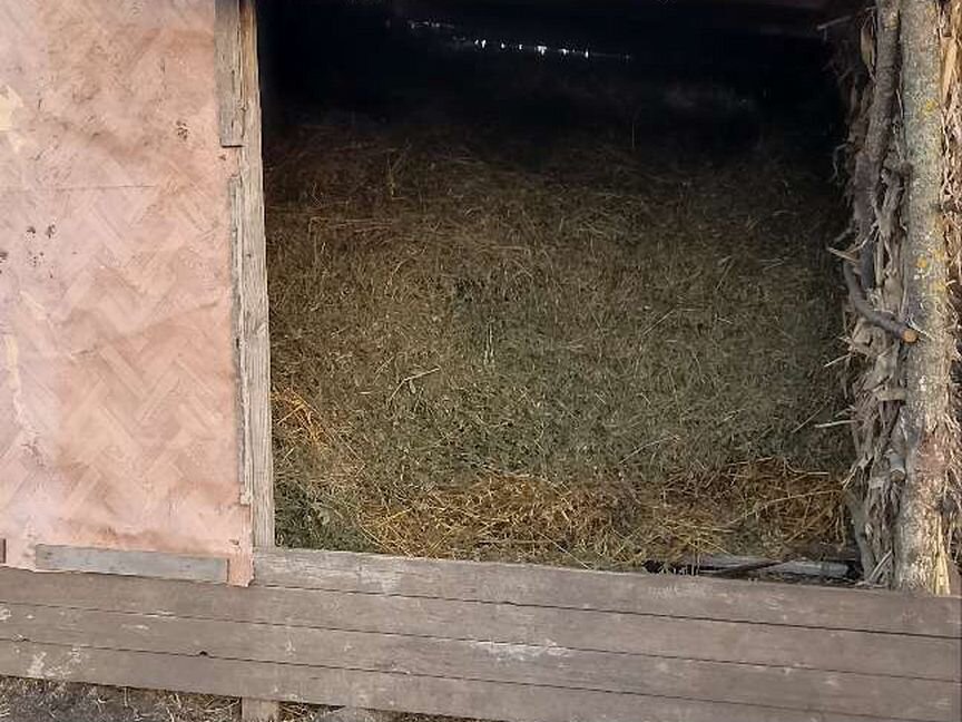 Продам сено