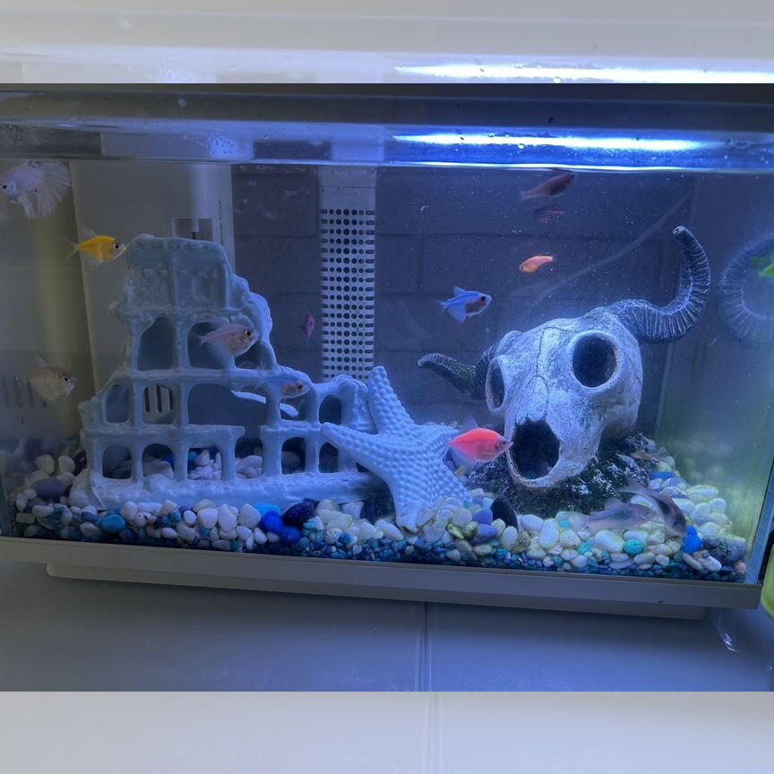 Аквариум xiaomi