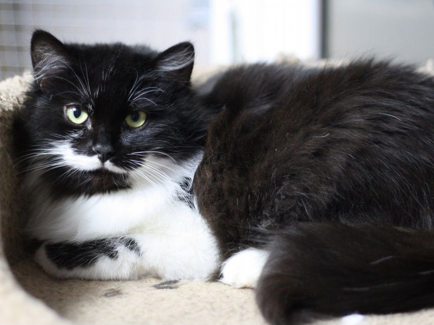 Никто не любит