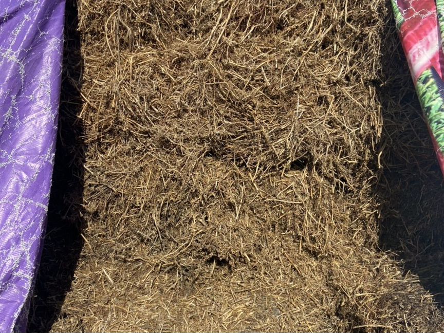 Солома гороховая в тюках