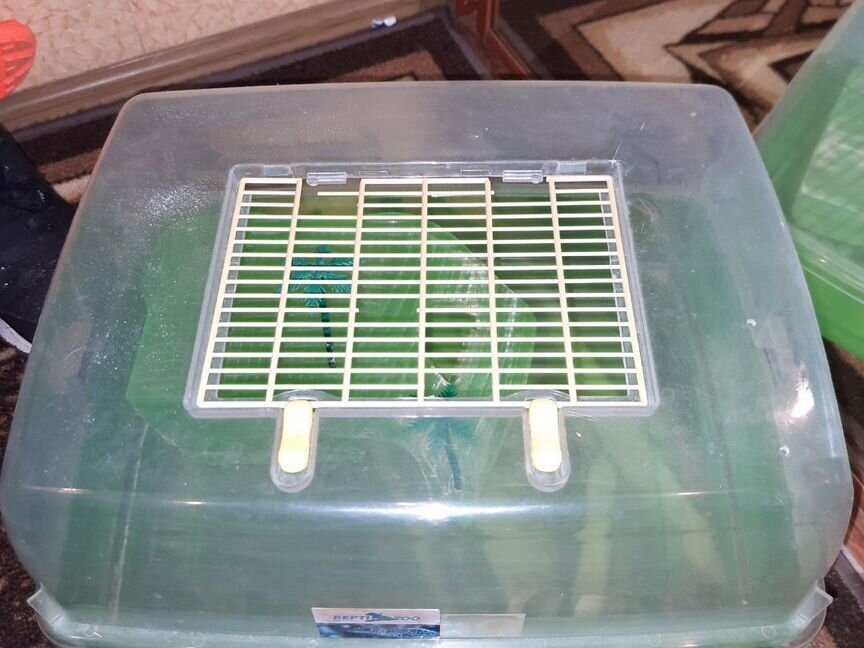 Террариум для черепахи