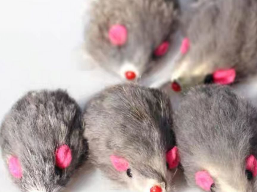 Мышка для кота