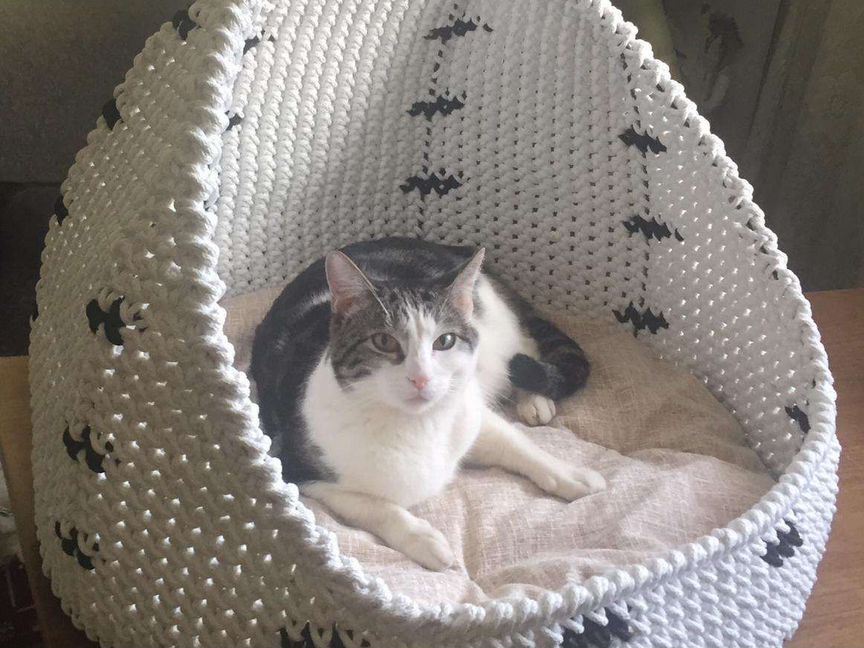 Домик- лежанка для кота