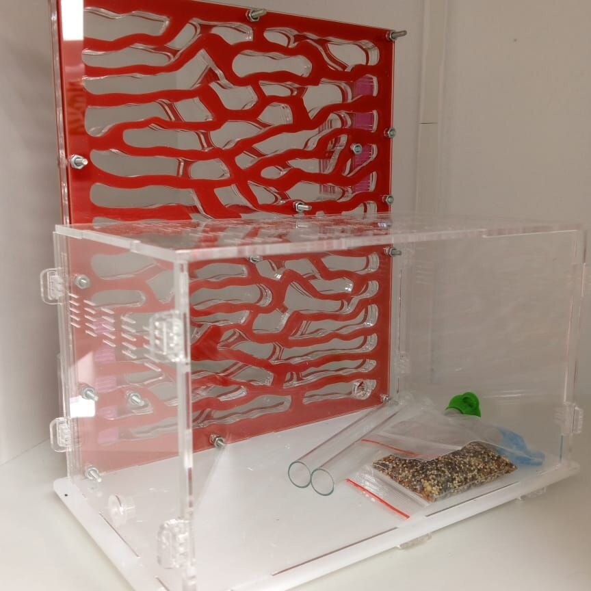 Муравьиная ферма