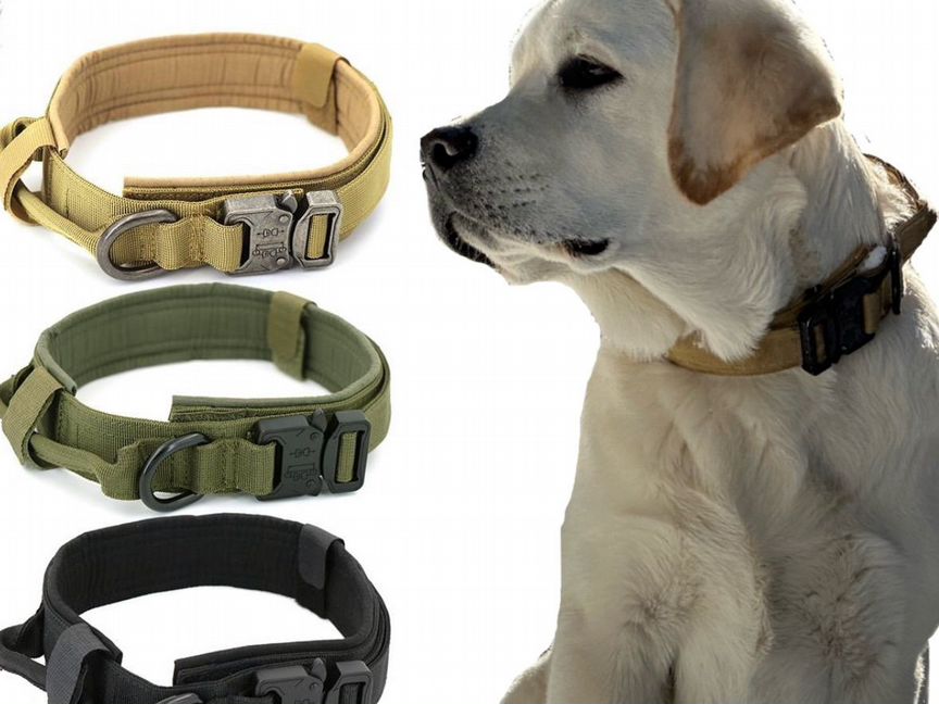 Ошейник тактический усиленный с ручкой