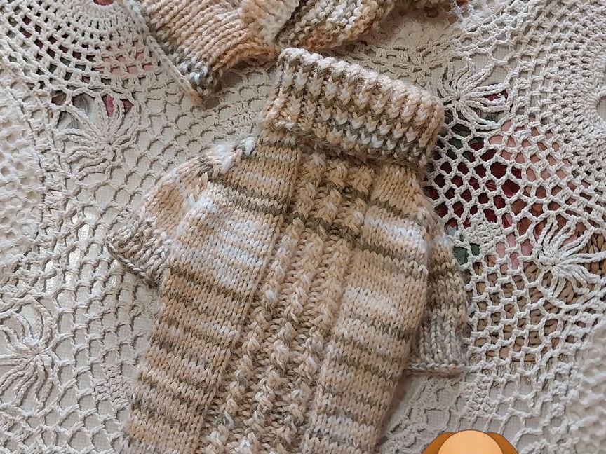 Одежда для мелких пород собак