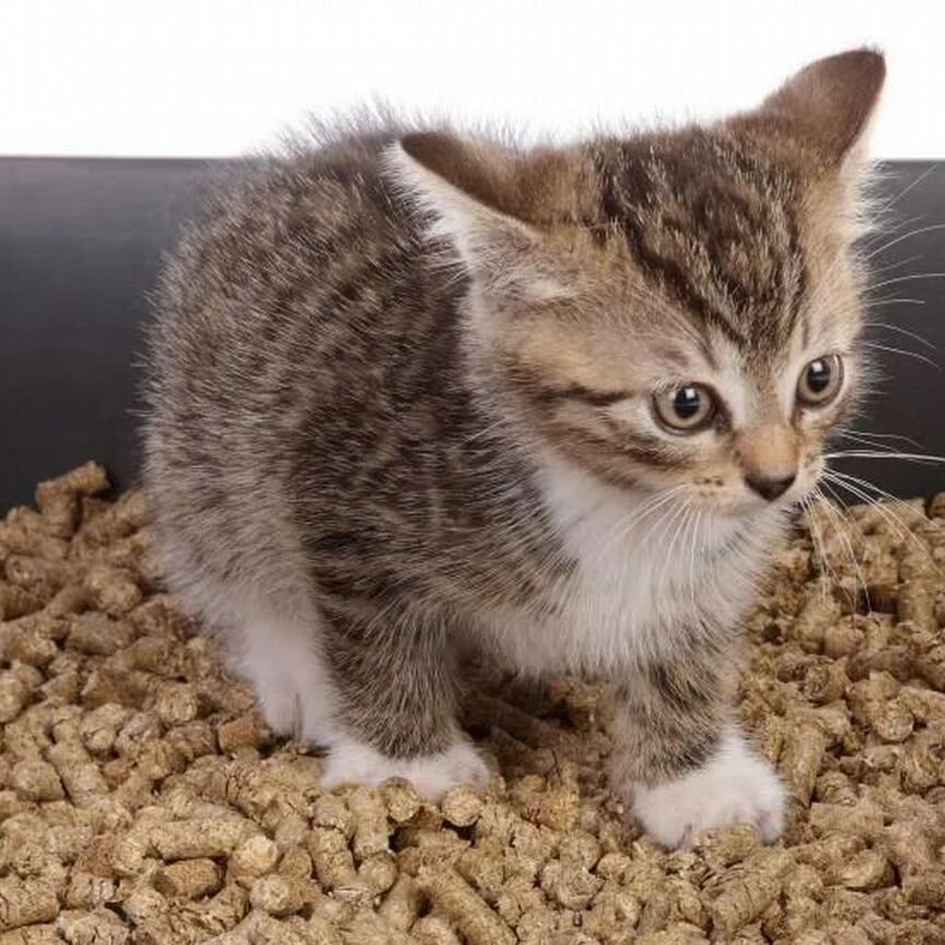 Наполнитель древесный для кошачьих туалетов