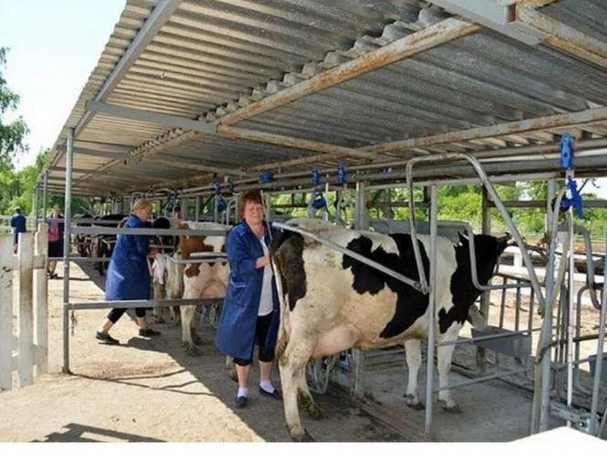 Все для фермы крс