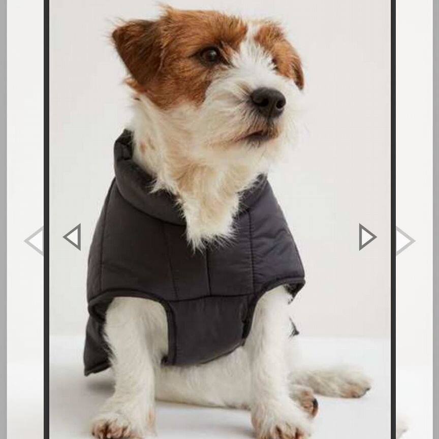 Пуховик для собак H&M