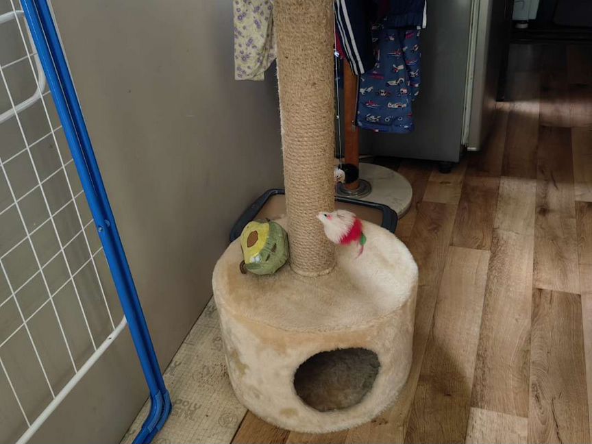 Домик когтеточка