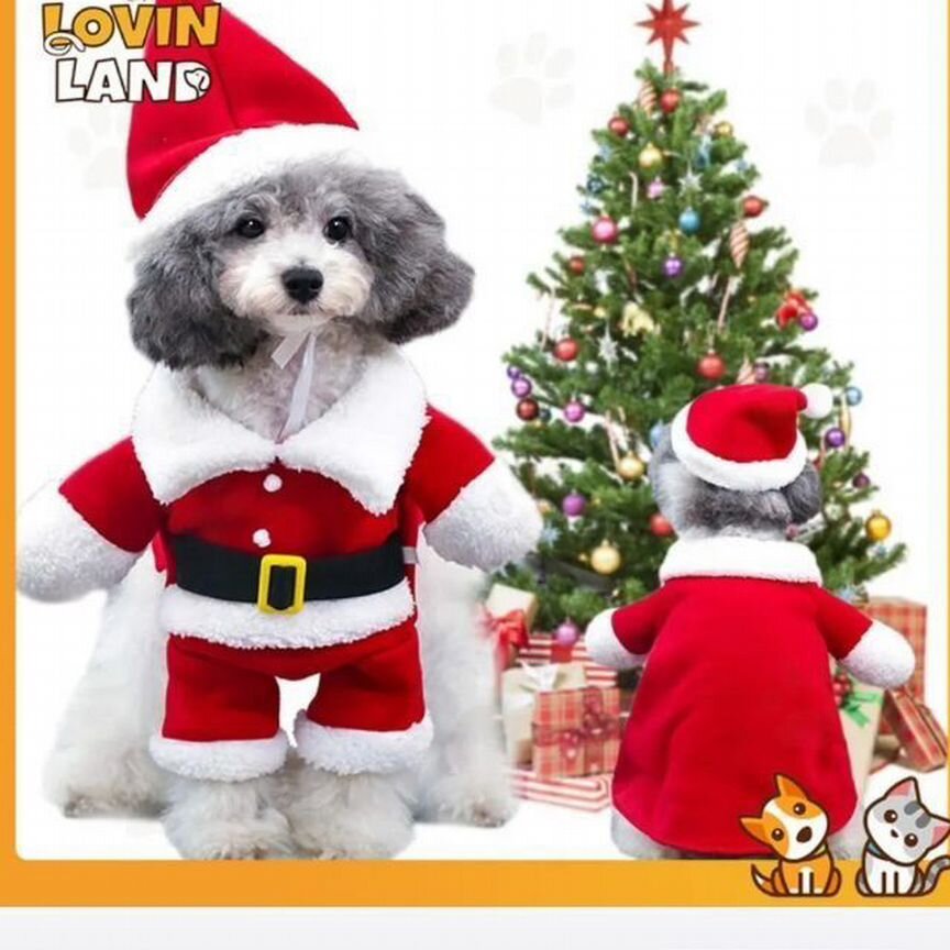 Одежда для собак и кошек