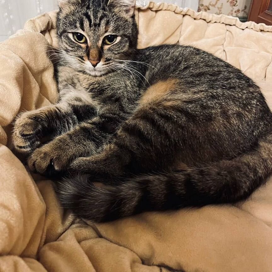 Малышка Слава ищет дом