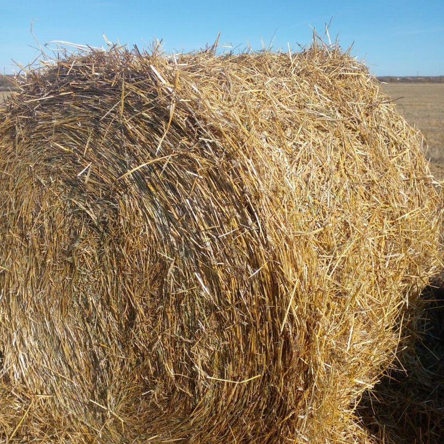 Сено и солома в рулонах