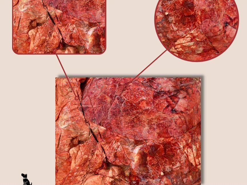 Легкое говяжье блок