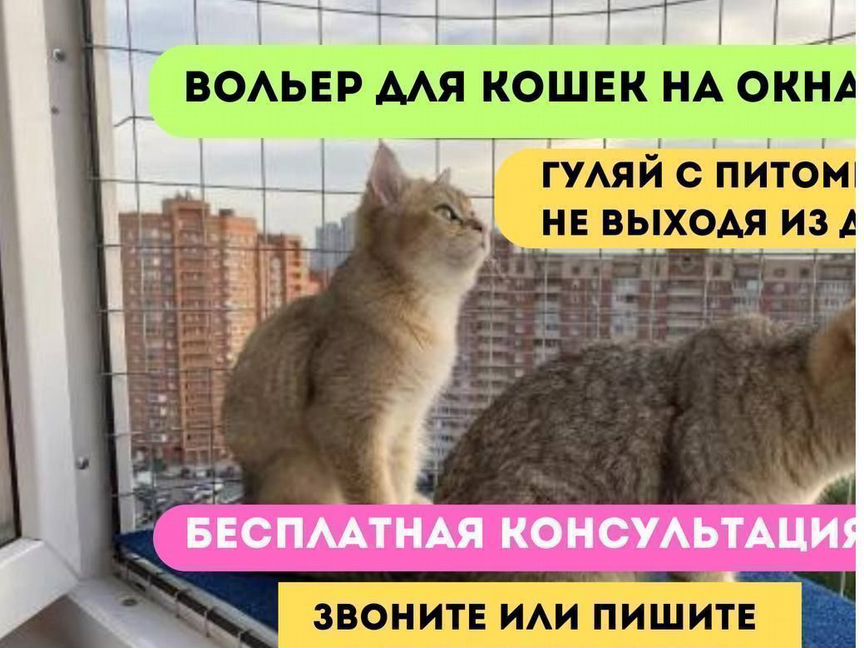 Балкон для кошек