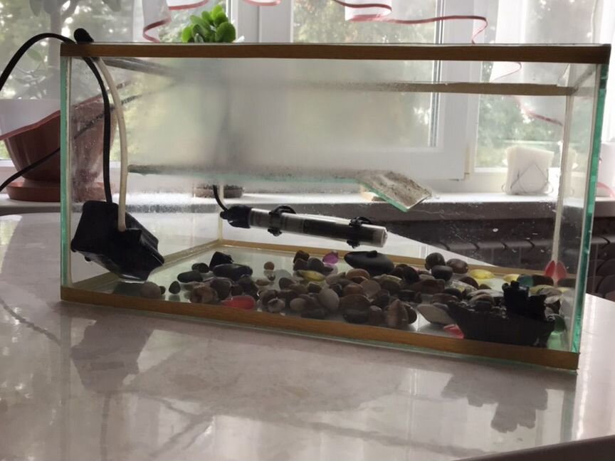 Аквариум (террариум) с мостиком для черепахи