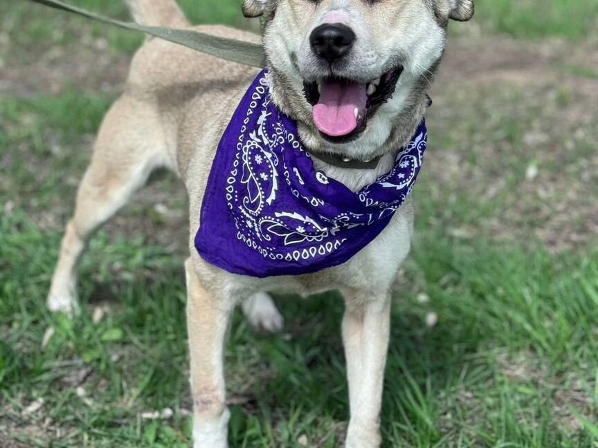 Красавчик ждет семью