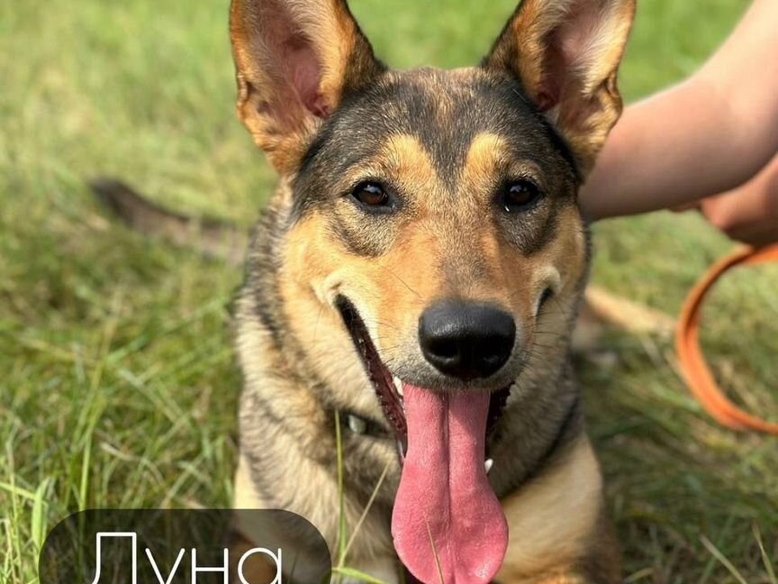 Беззащитной девочке из приюта нужна семья