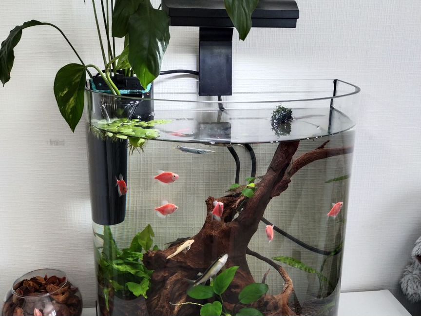 Аквариум Tetre