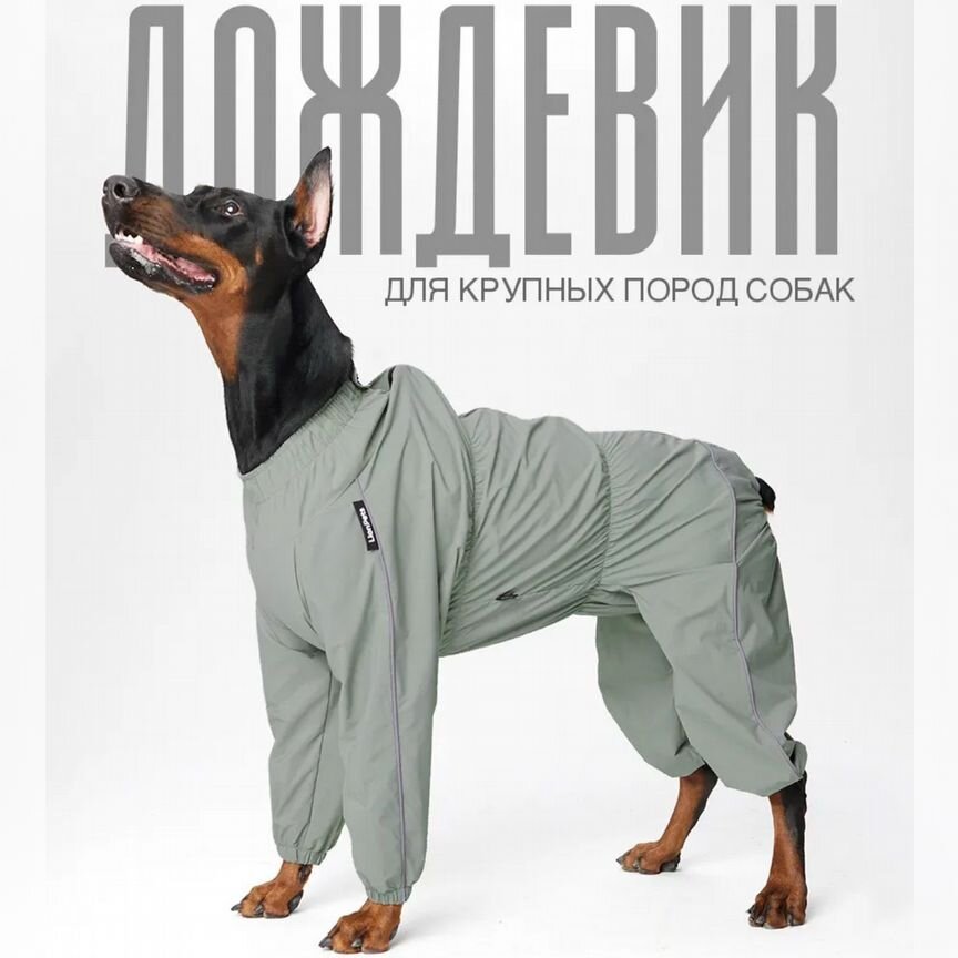 Дождевик для собак мальчик
