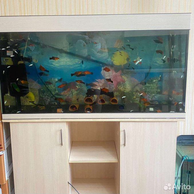 Аквариум с тумбой 340 литров+ эксклюзивная рыба в
