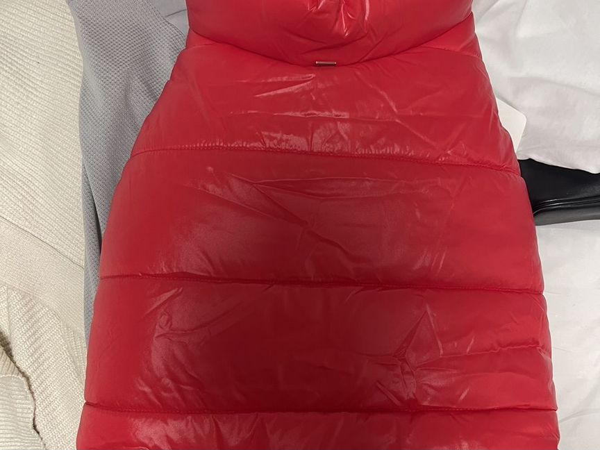 Одежда для собаки Moncler