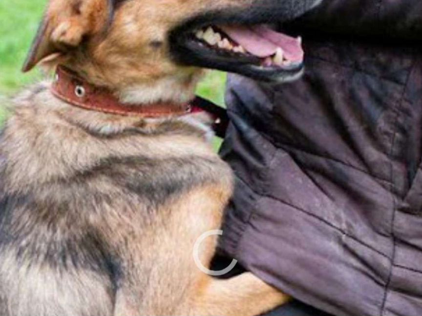 Мальчишка из приюта