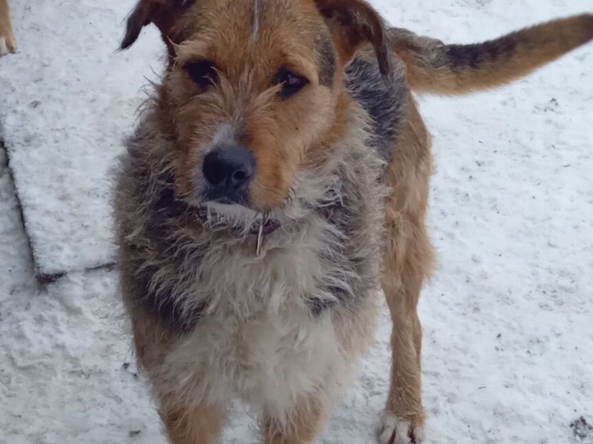 Джесс хочет домой