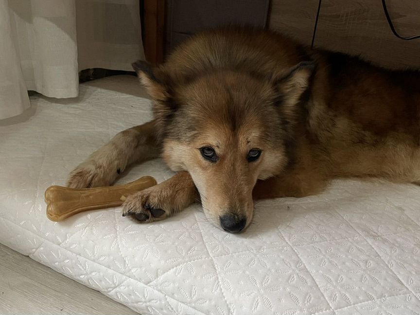 Родители, где вы