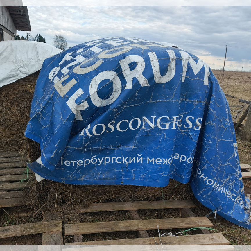 Продам сено в рулонах