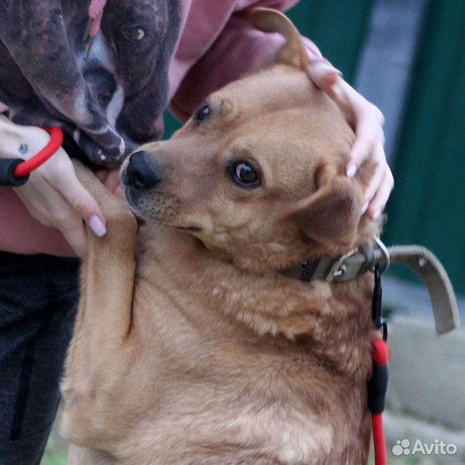 Филипп ждёт своего человека