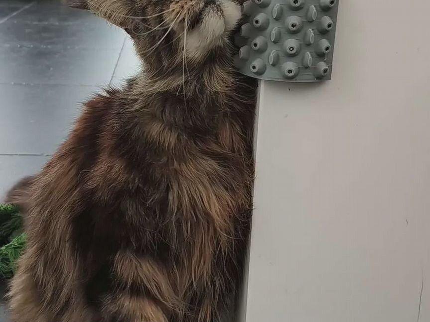 Чесалка для кошек