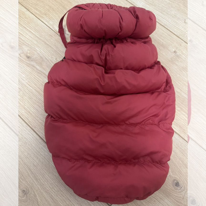 Одежда для маленьких собак