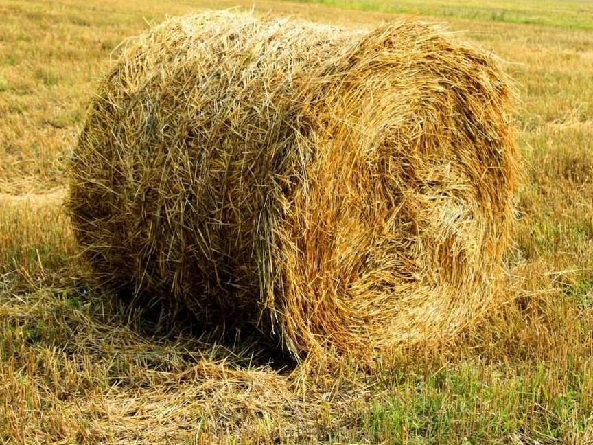 Вика овес ячмень рулон