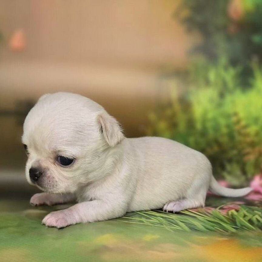 Для резерва