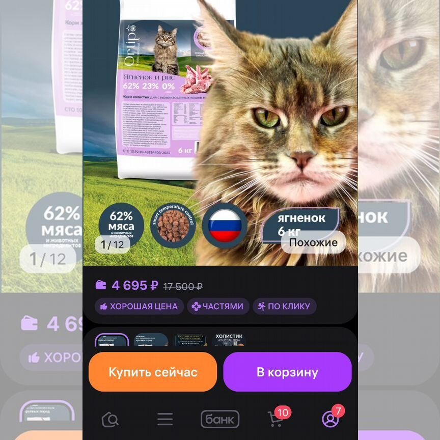 Сухой корм для кошек